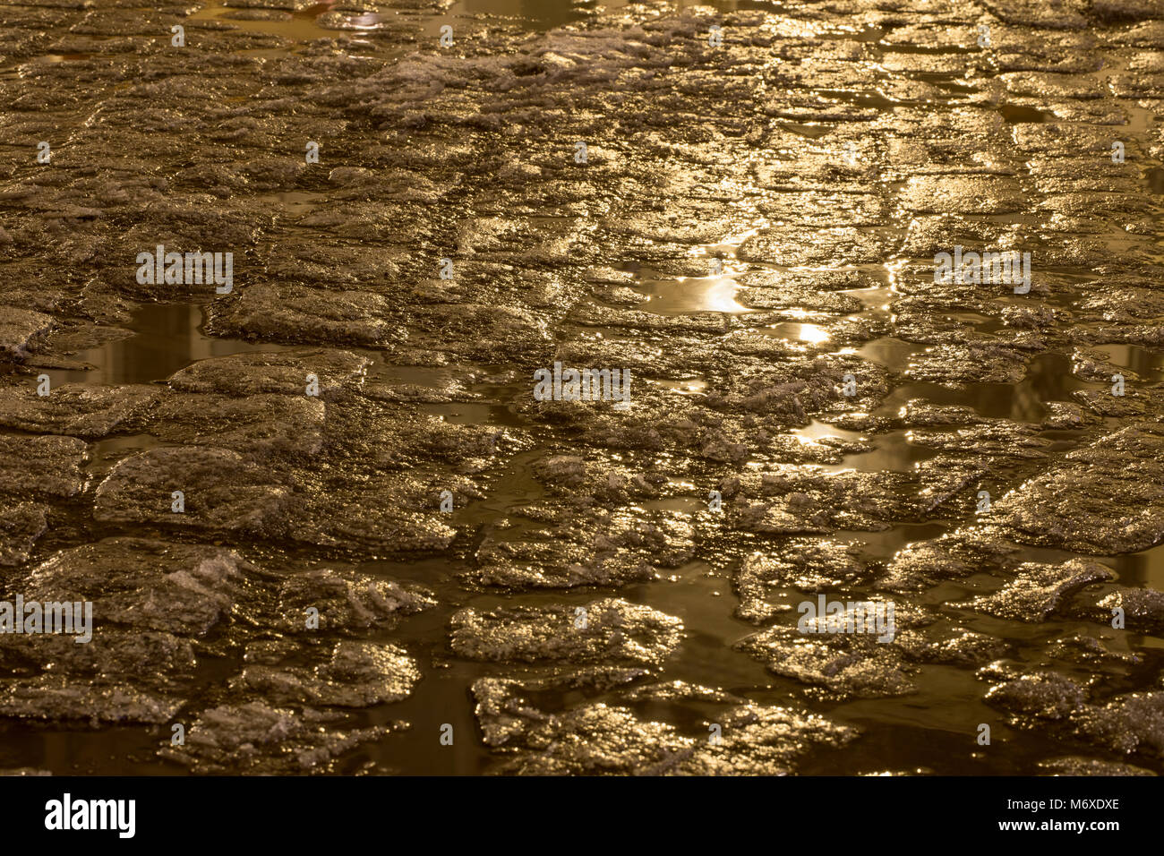 The cobbles under melting snow, cobblestone sett surface, paving in the ...