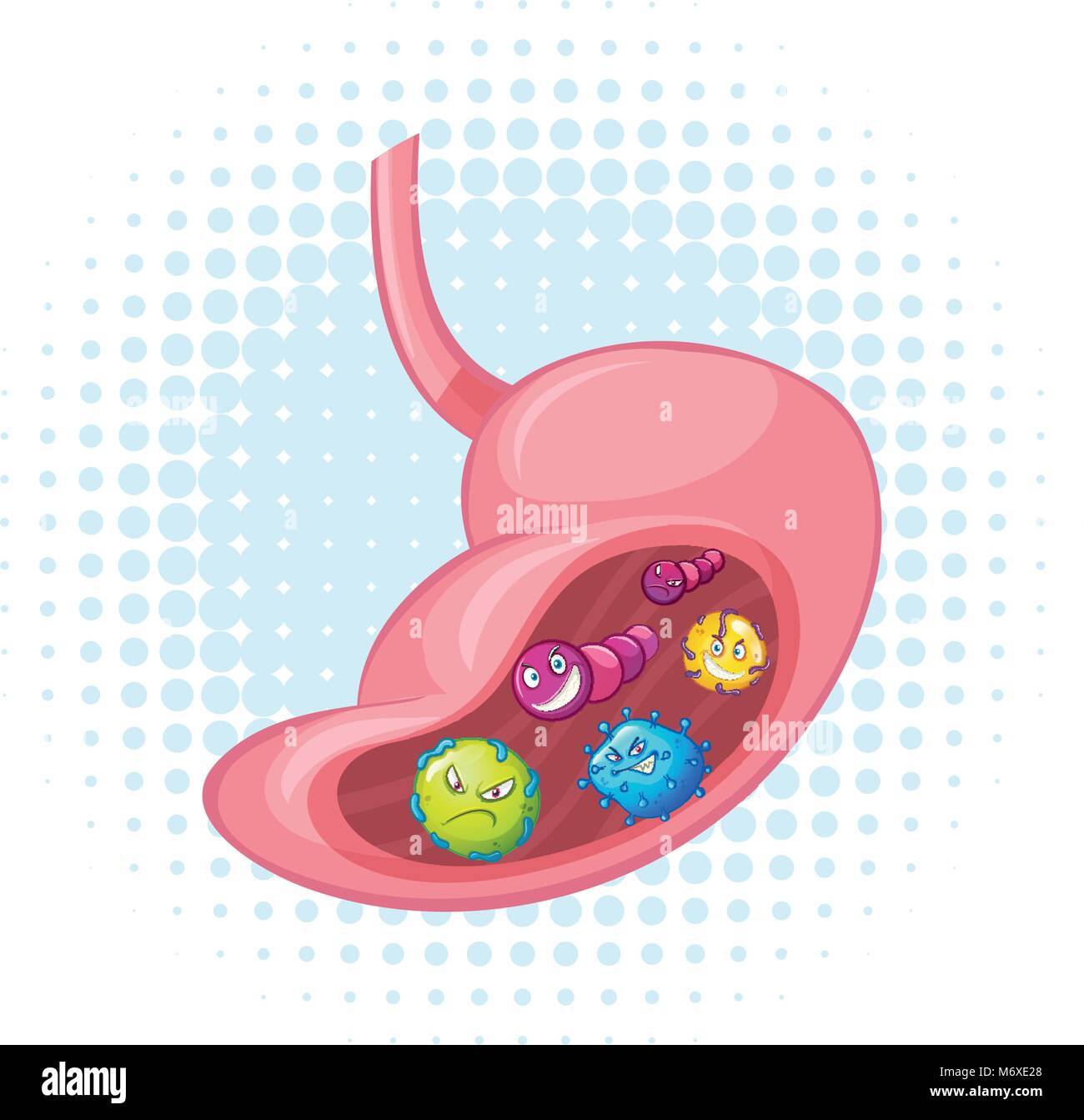 Bacteria in human stomach illustration Stock Vector Image & Art - Alamy