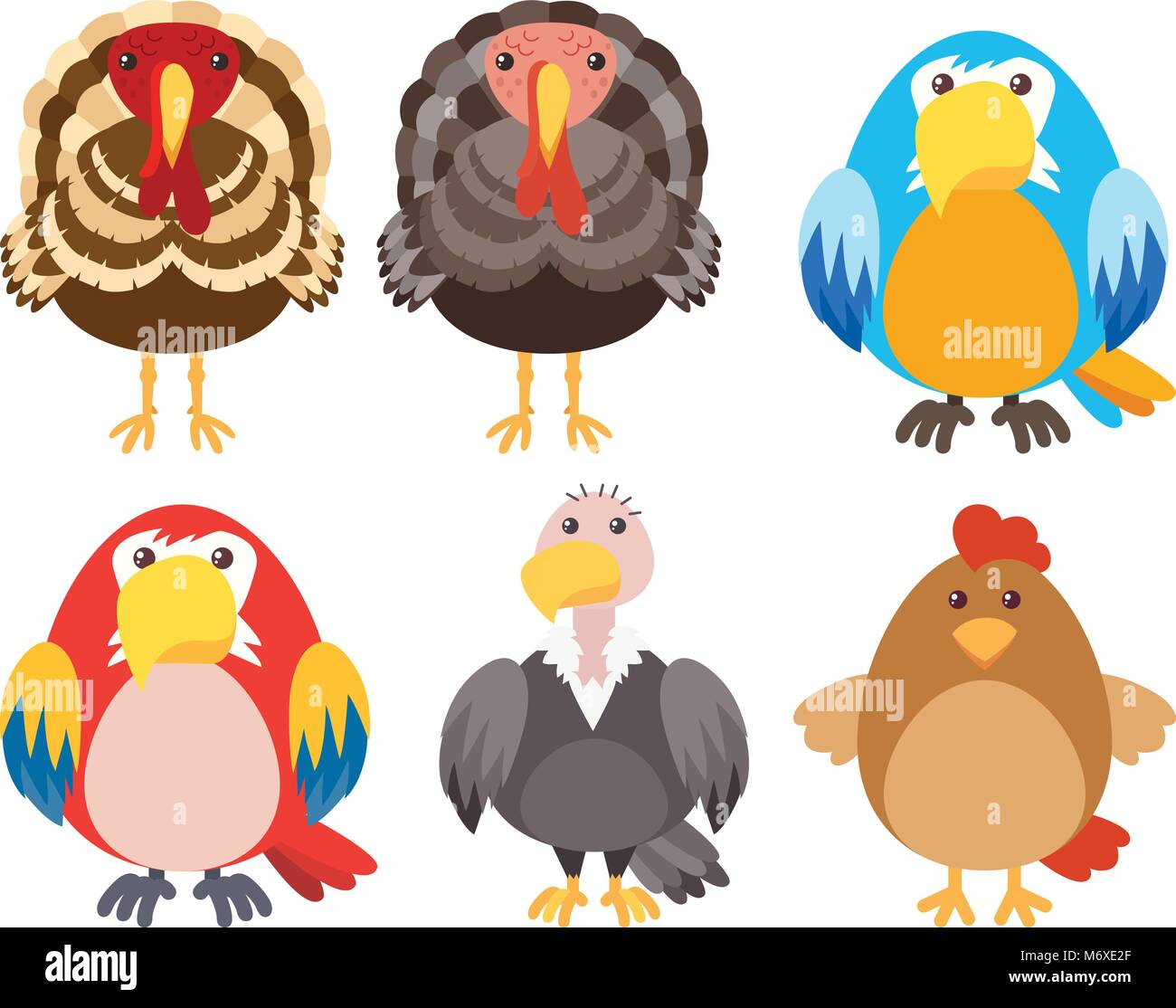 Turkeys and different types of birds illustration Stock Vector Image ...