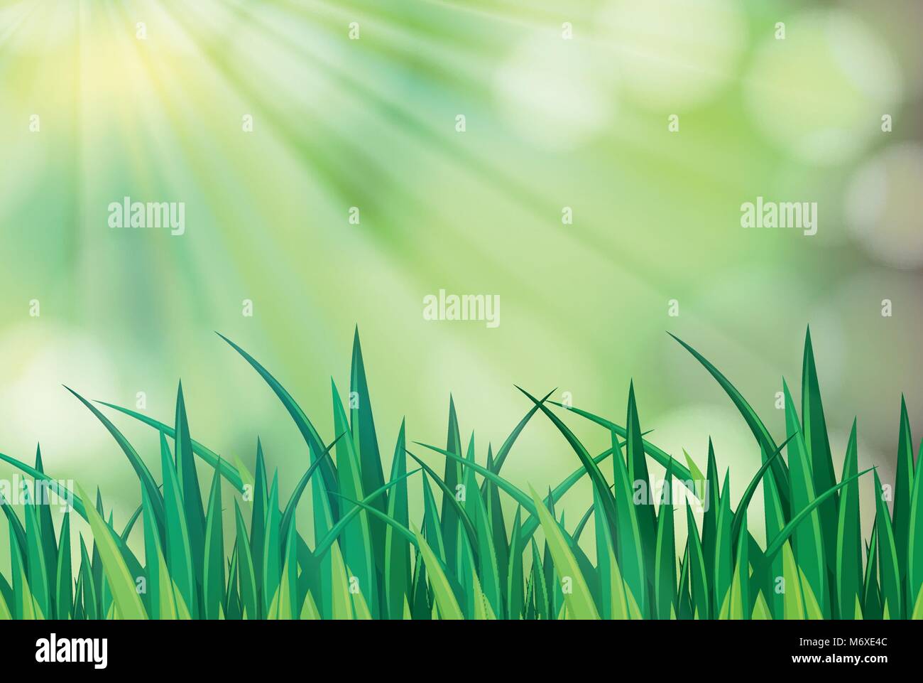 Background scene with green grass illustration Stock Vector Image & Art ...