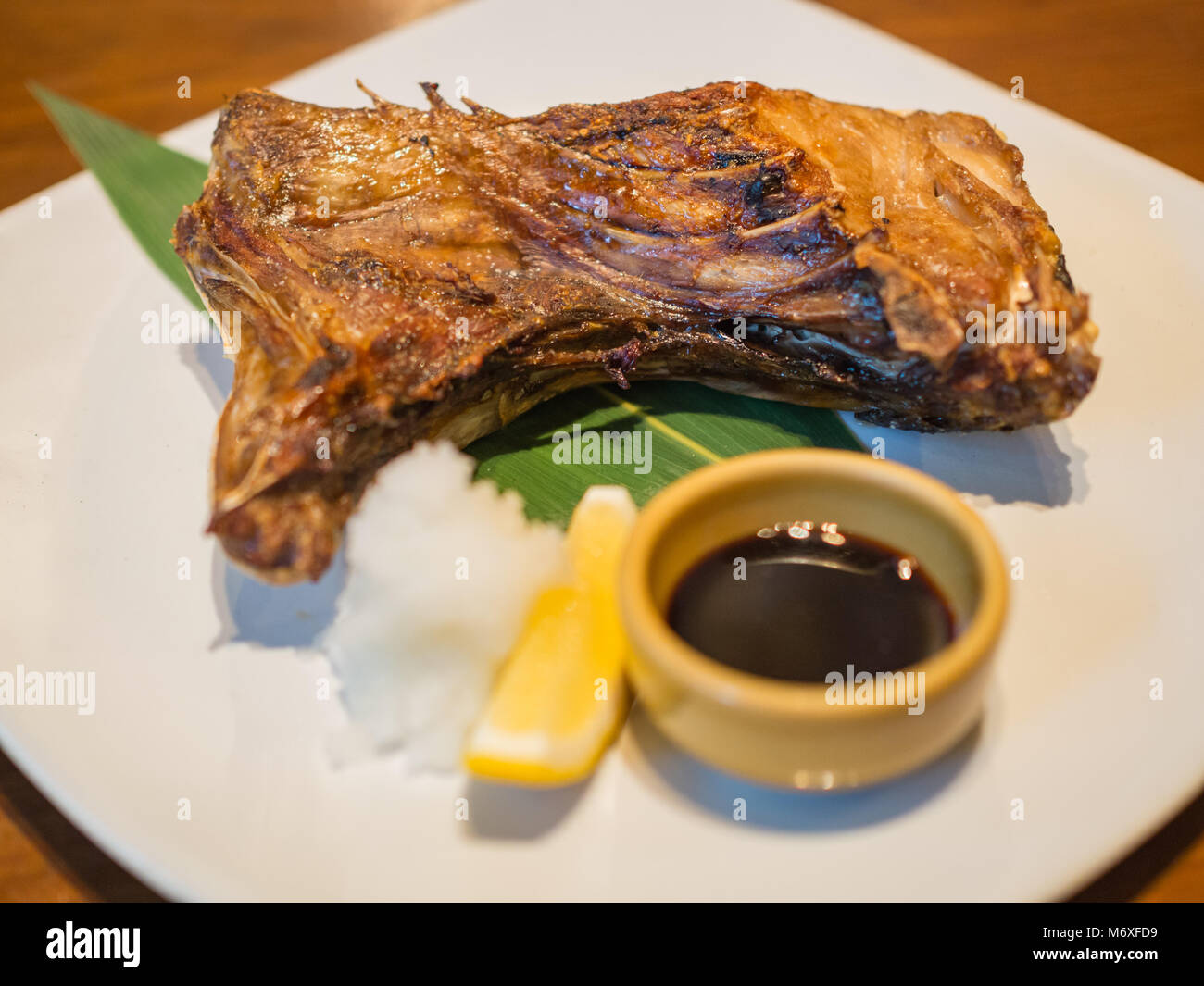 Yellowtail collar hi-res stock photography and images - Alamy