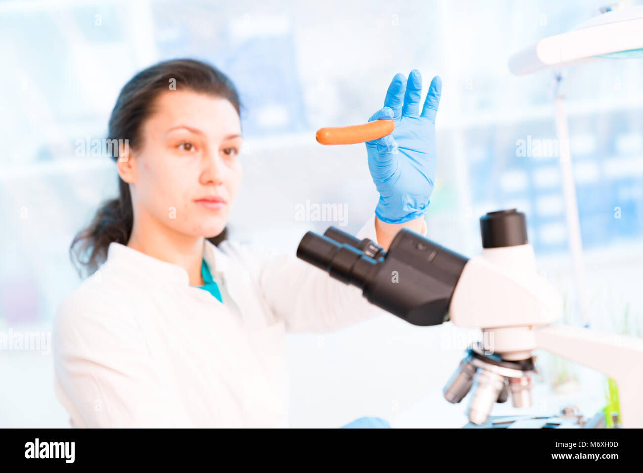 Young female technician in the laboratory of food quality control Stock ...