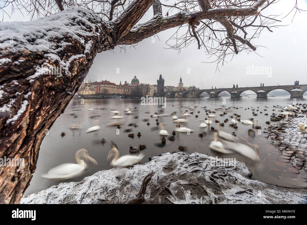 Winter view of the Charles Bridge in Prague, Czech Republic Stock Photo ...