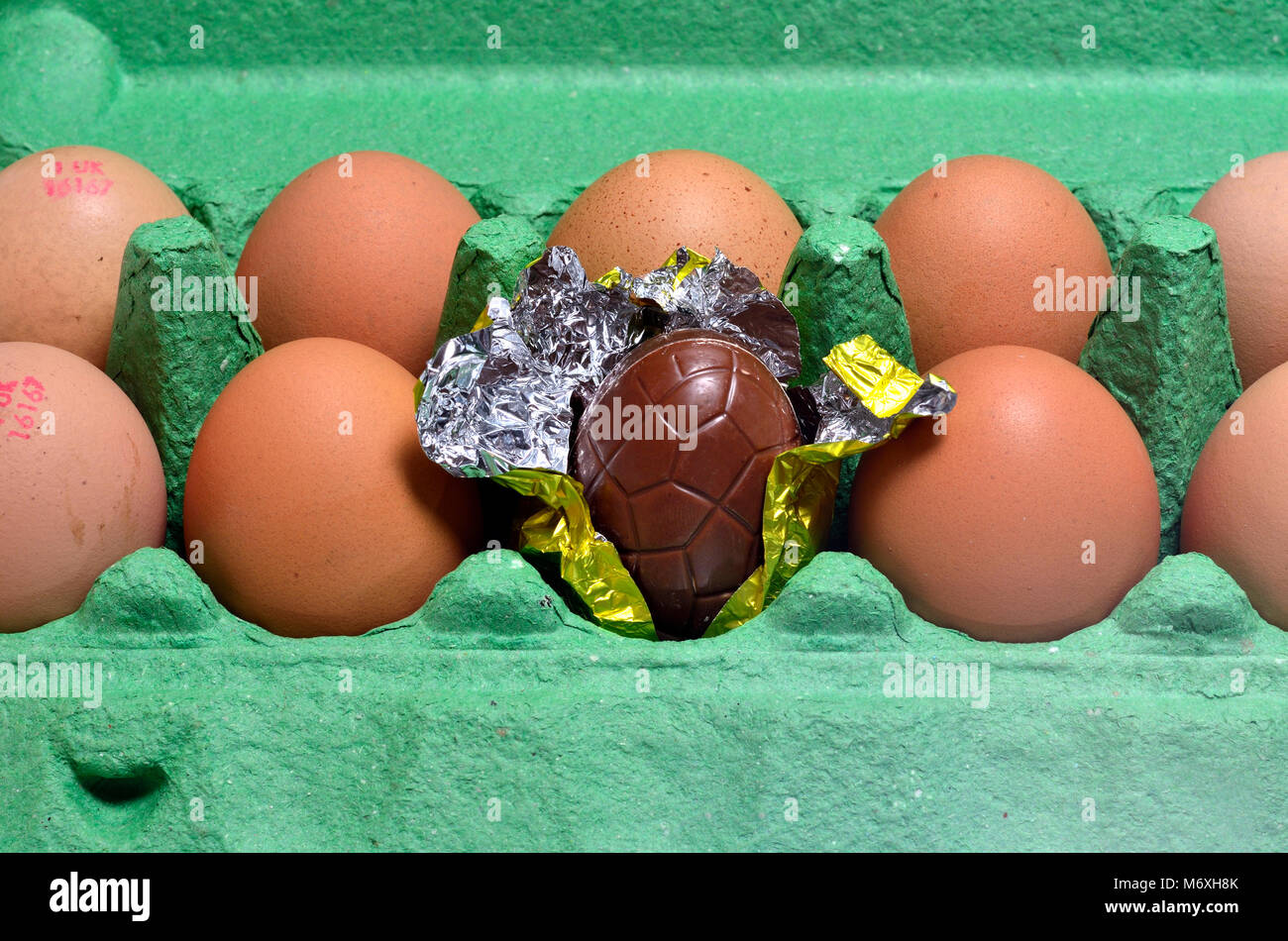 Real egg hi-res stock photography and images - Alamy