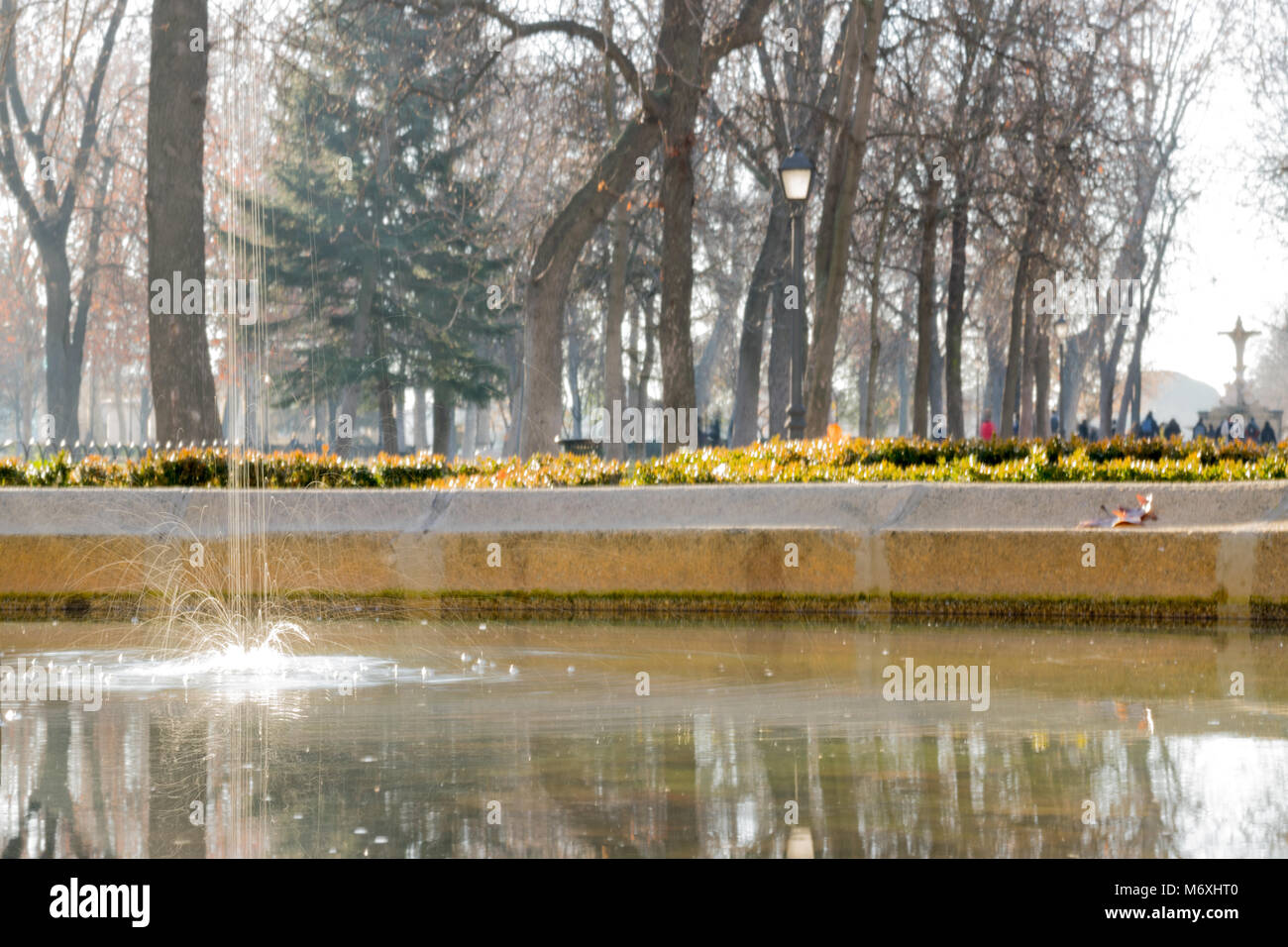 Sun reflecting off splashing water in a fountain at Retiro Park, Madrid ...