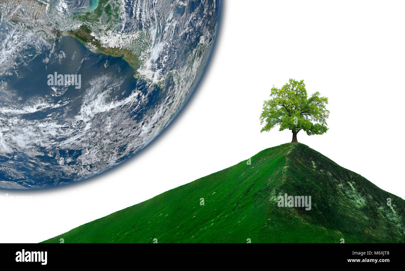 lonely tree on abstract mountain peak. Earth planet in background ...