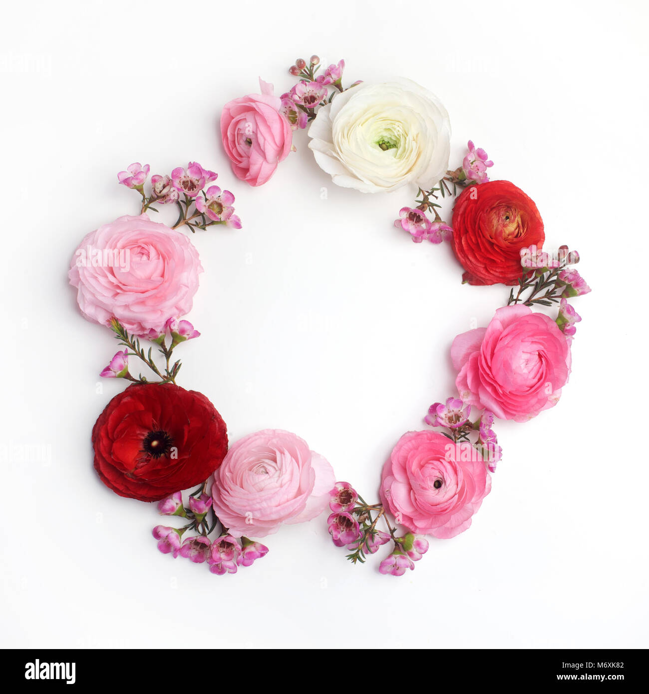 Floral round frame with ranunculus flowers, flat lay, top view with ...