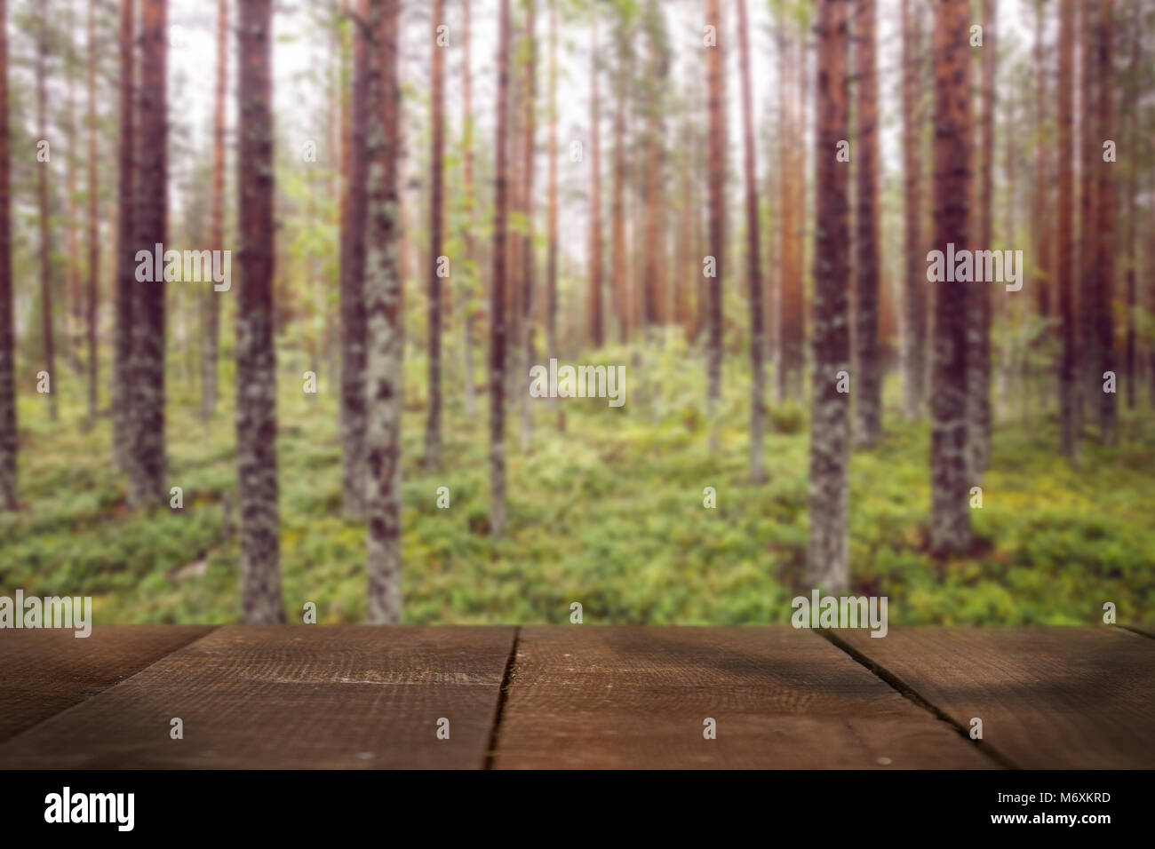 Nature blurred background Stock Photo - Alamy