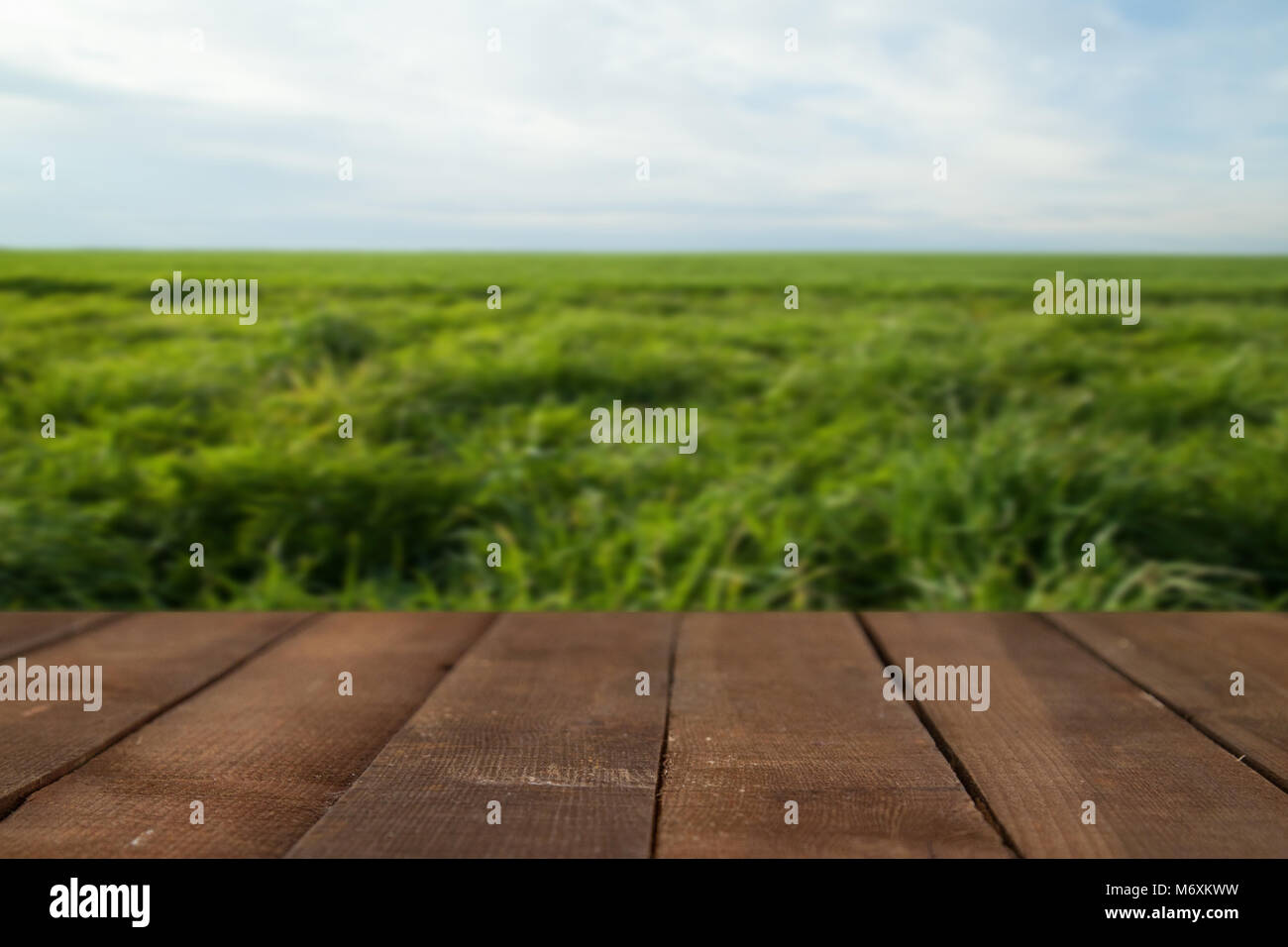 Nature blurred background Stock Photo - Alamy