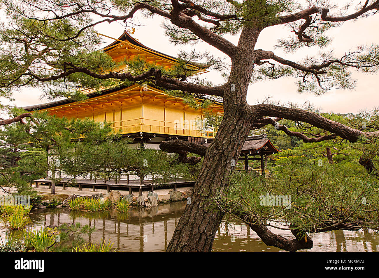 Wonderful pavilion hi-res stock photography and images - Alamy
