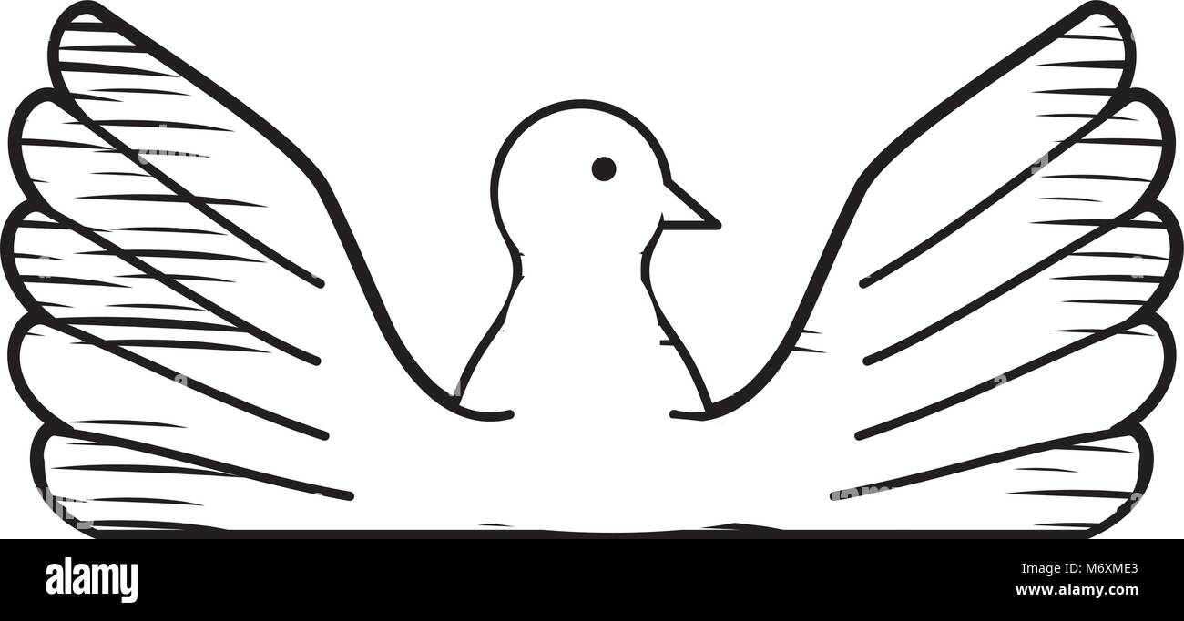 sketch of dove bird icon over white background, vector illutration ...