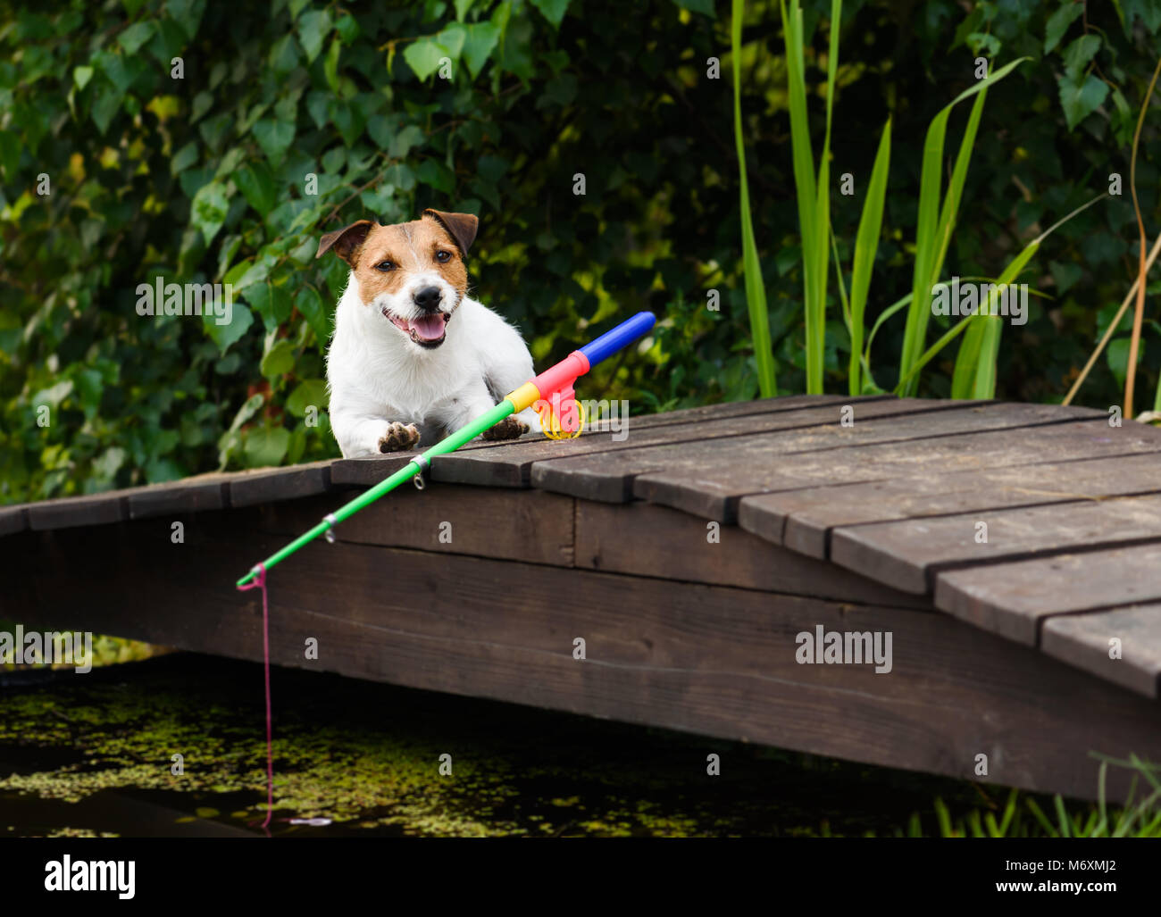 Angler beginner hi-res stock photography and images - Alamy
