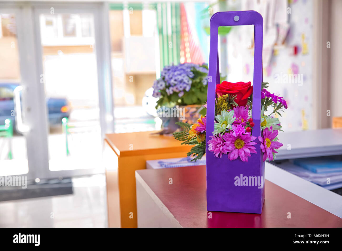 Lilac daisy . Purple flower isolated with clipping path . Bouquet of ...