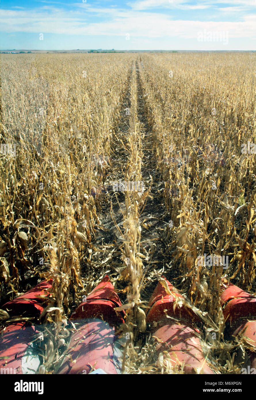 Midwest farm harvest hi-res stock photography and images - Alamy