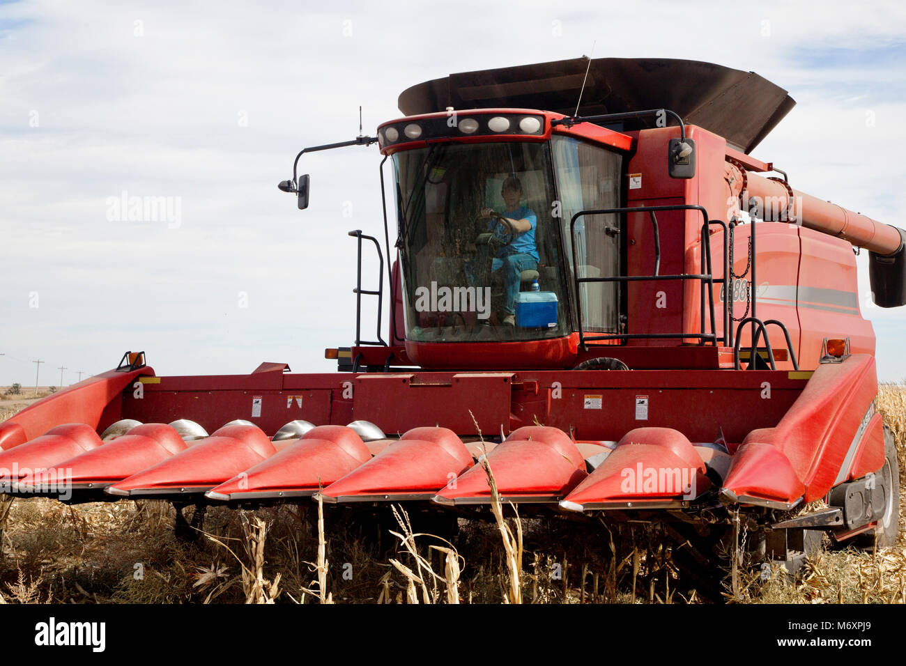 Harvesting corn in the Midwest with a combine, 2017 Stock Photo - Alamy