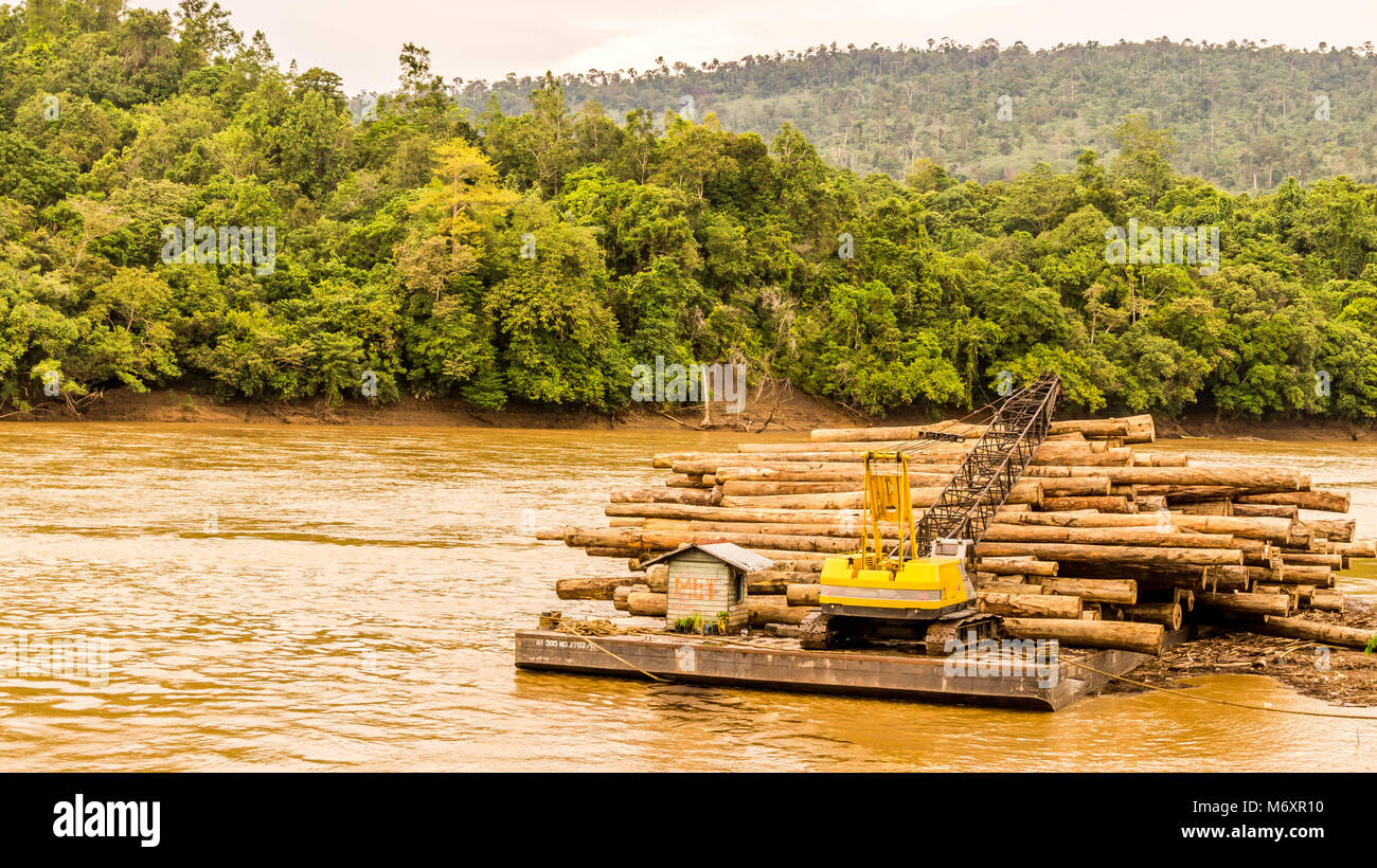 heavy machinery loading timber into the barge. forestry industrial ...
