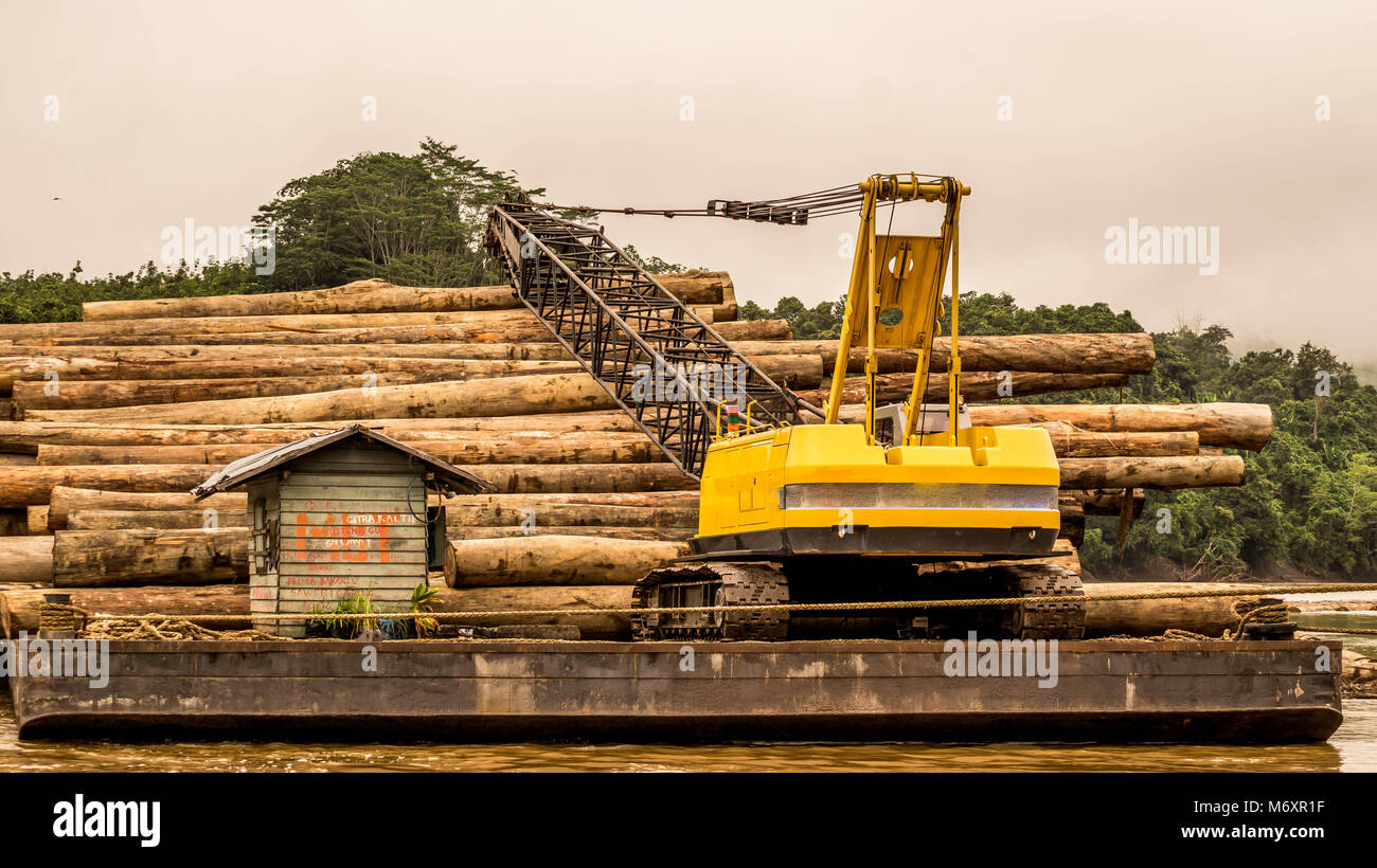 heavy machinery loading timber into the barge. forestry industrial ...