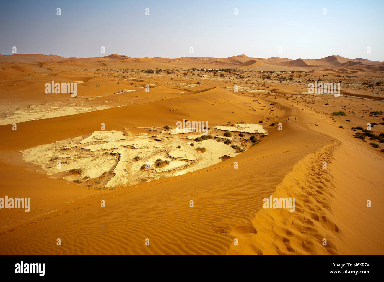 Big Daddy dune on Namib Naukluft National Park in the Sossusvlei area ...