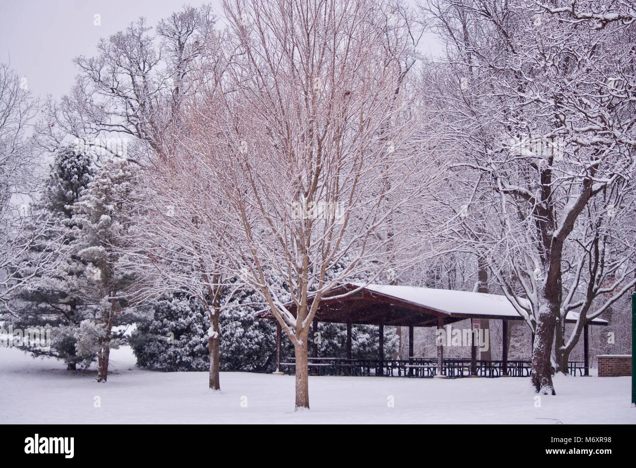 Covered picnic shelter hi-res stock photography and images - Alamy