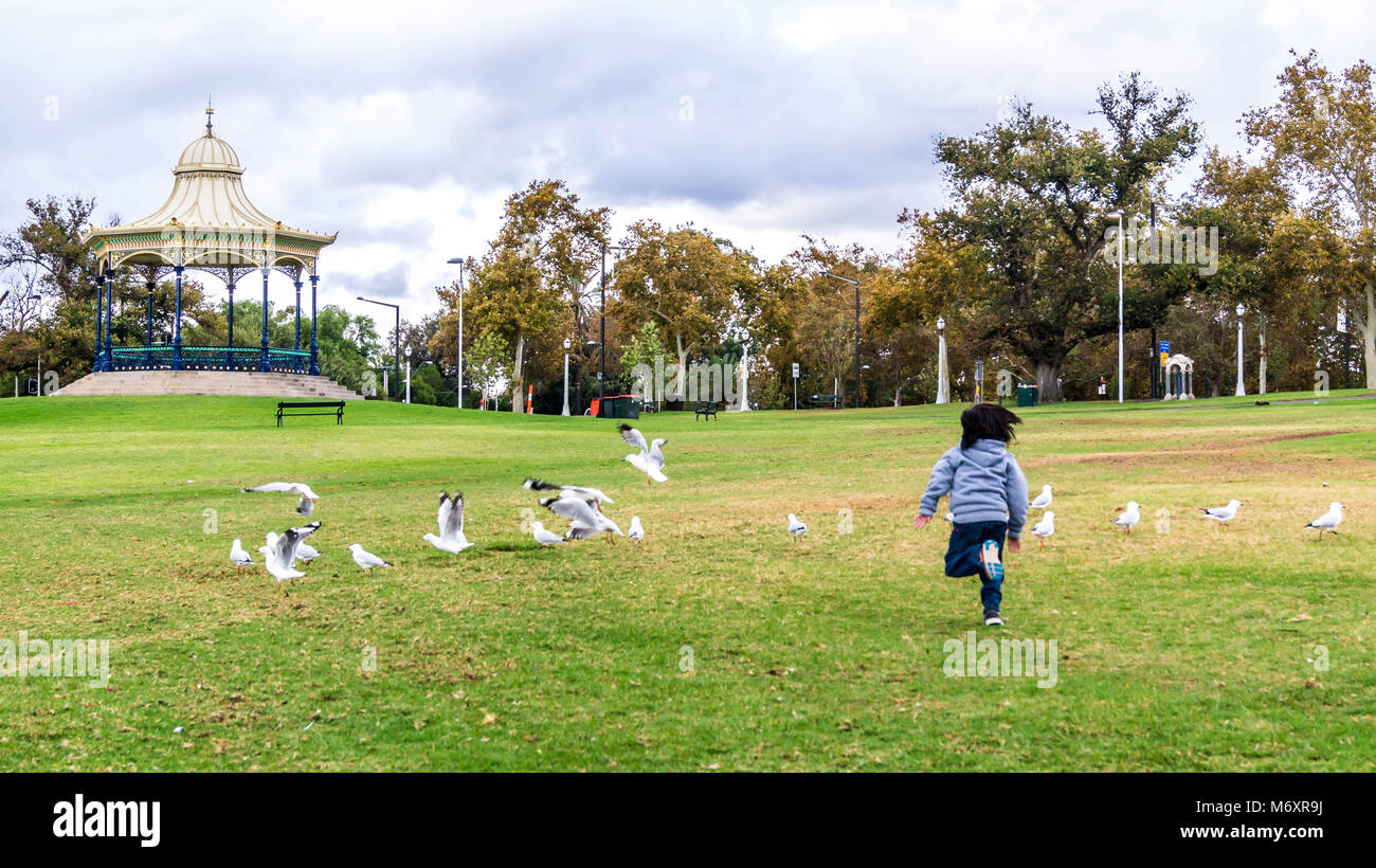 Boy chasing bird hi-res stock photography and images - Alamy