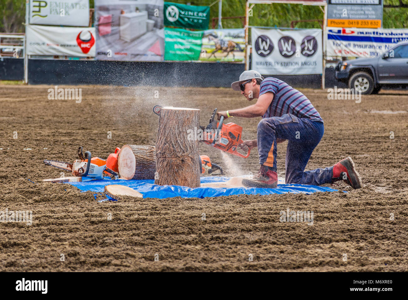 Man demonstrating his skill at wood carving with a chainsaw Stock Photo ...