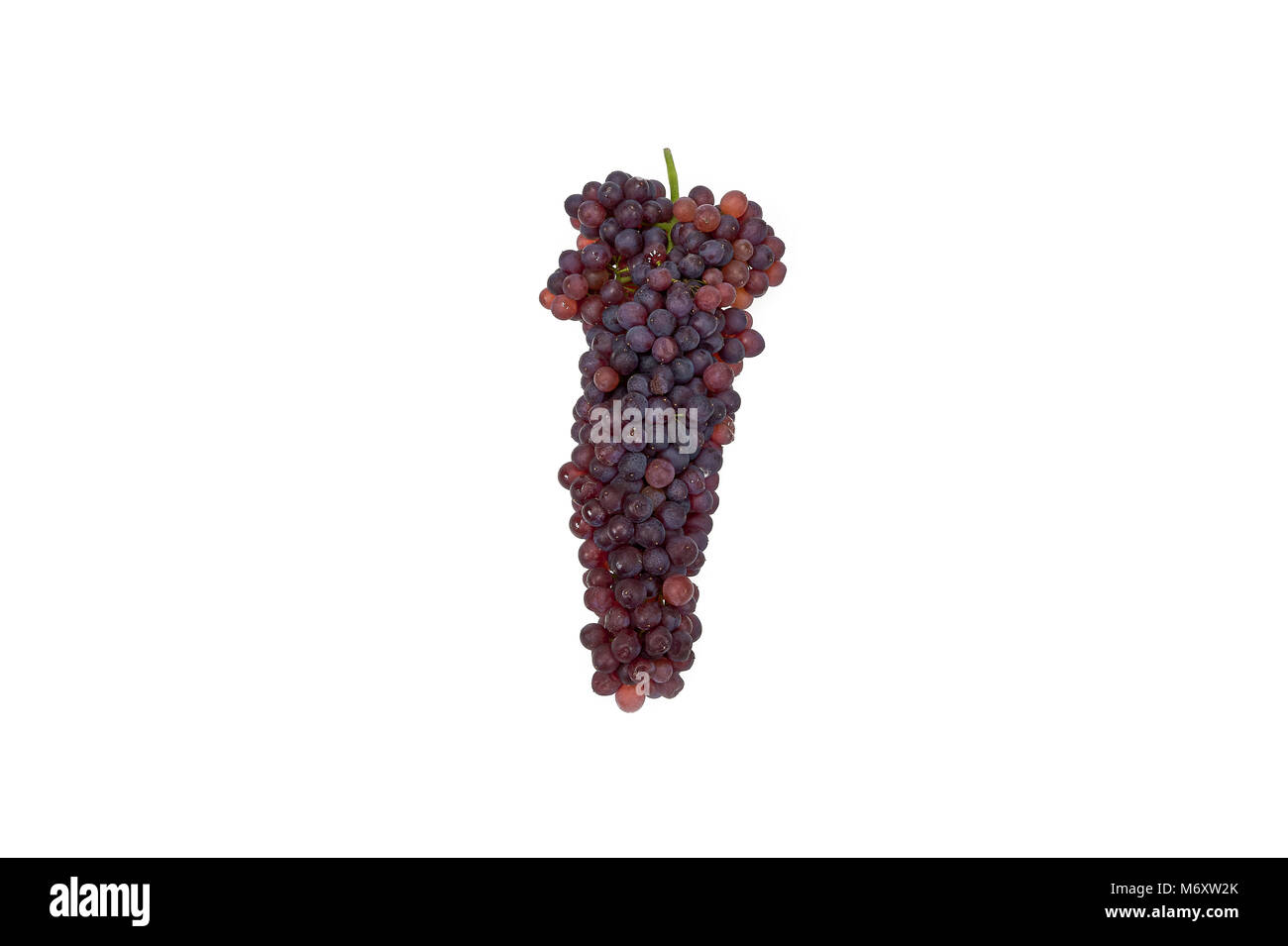 Ripe grape isolated on white background Stock Photo - Alamy
