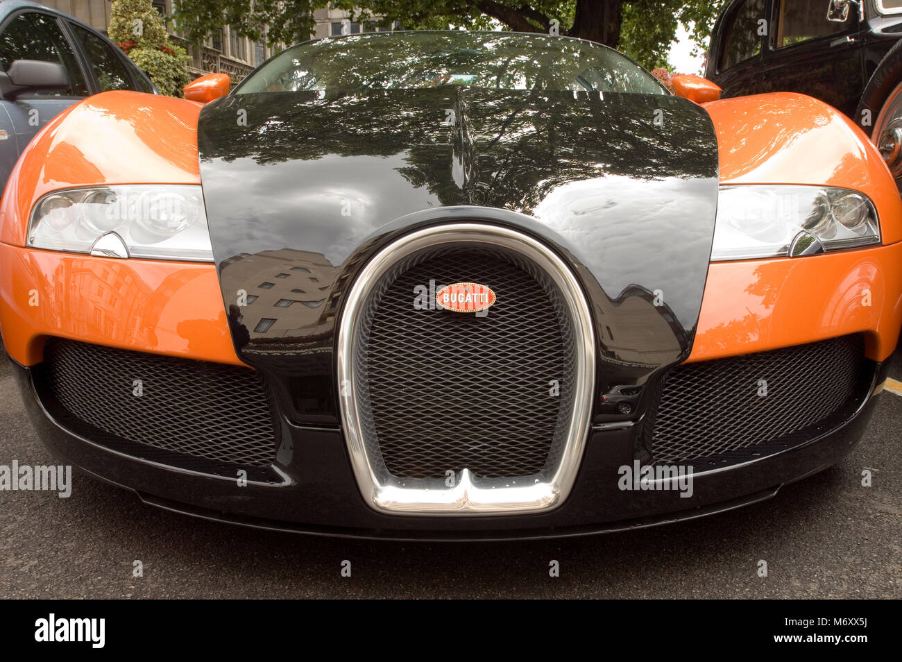 Bugatti Veyron Purple And Black