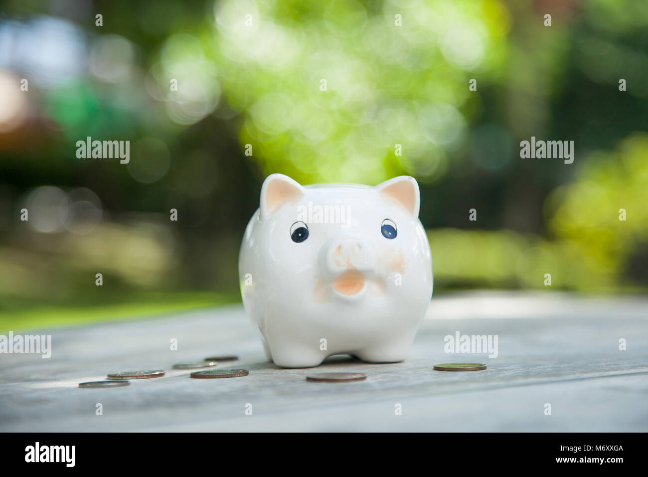 Saving money concept. Piggy bank Stock Photo - Alamy
