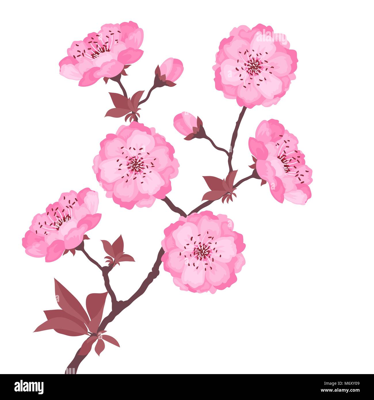 Sakura japan cherry branch Stock Vector Images - Alamy