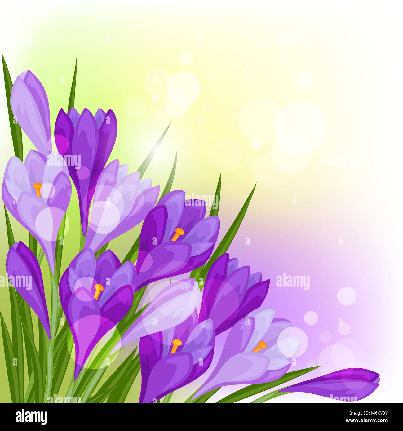 Spring flowers crocus natural background Stock Vector Image & Art - Alamy