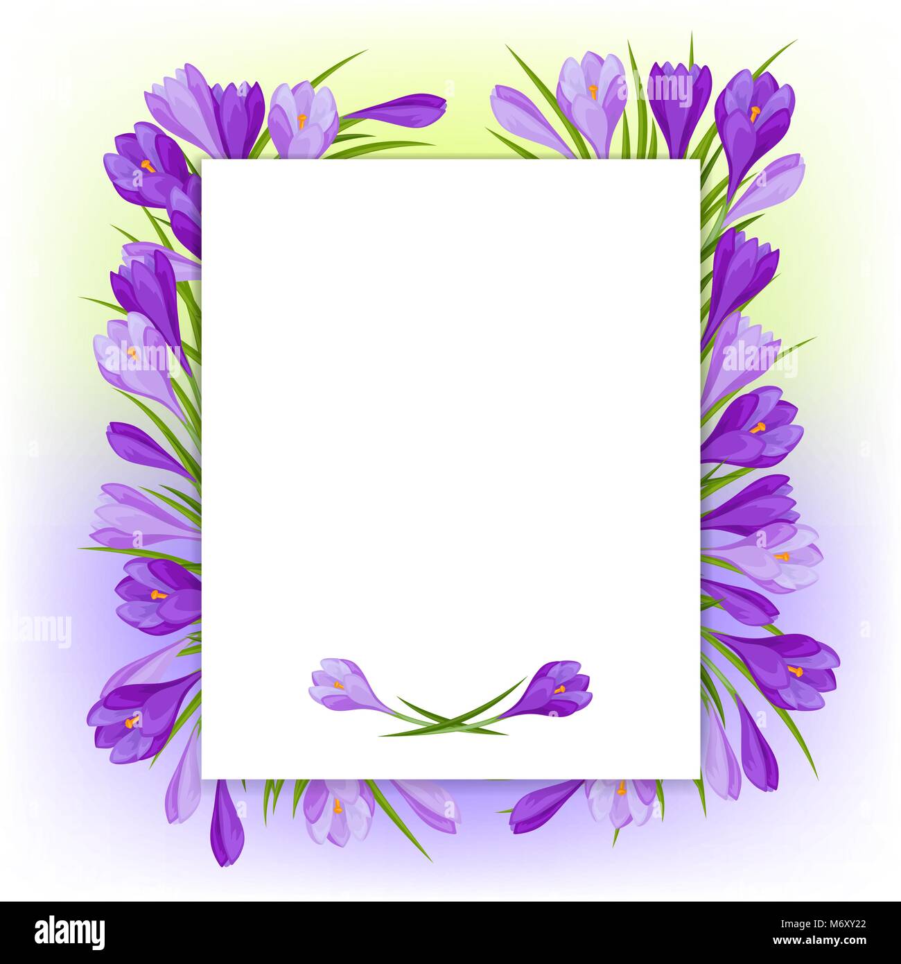 Spring flowers crocus natural background Stock Vector Image & Art - Alamy