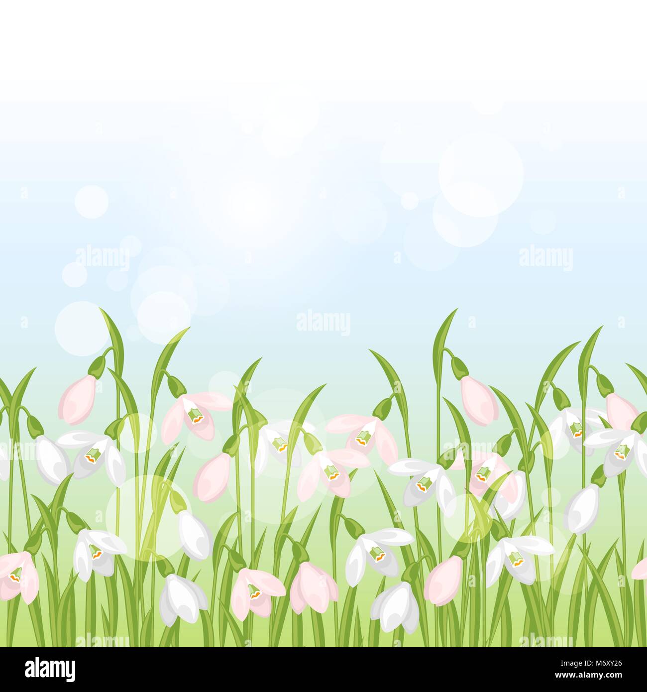 Snowdrops garden Stock Vector Images - Alamy