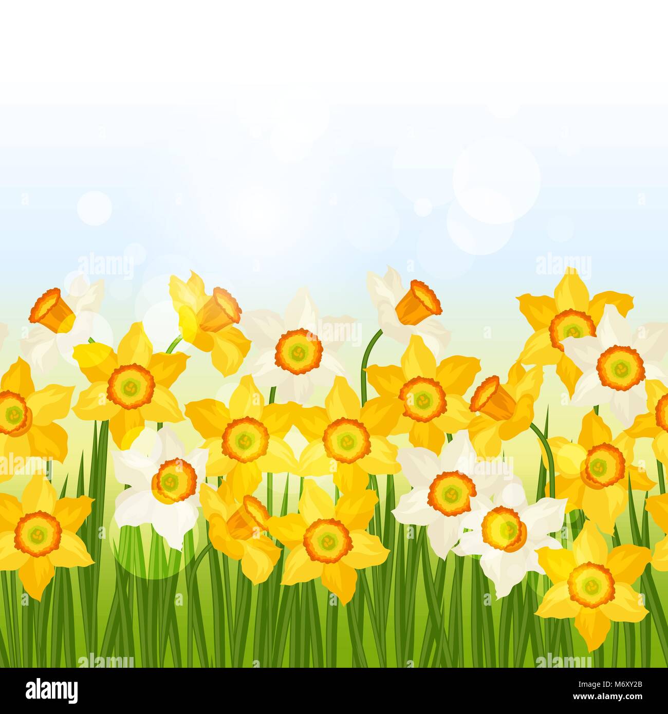 Outdoor daffodil Stock Vector Images - Alamy