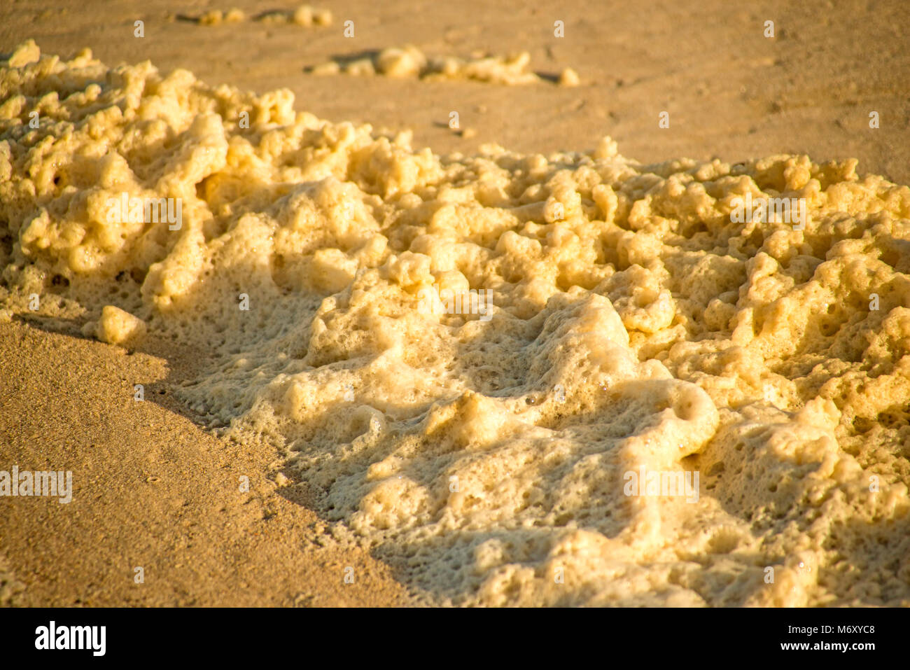 Foam bubbles of the surf Stock Photo - Alamy