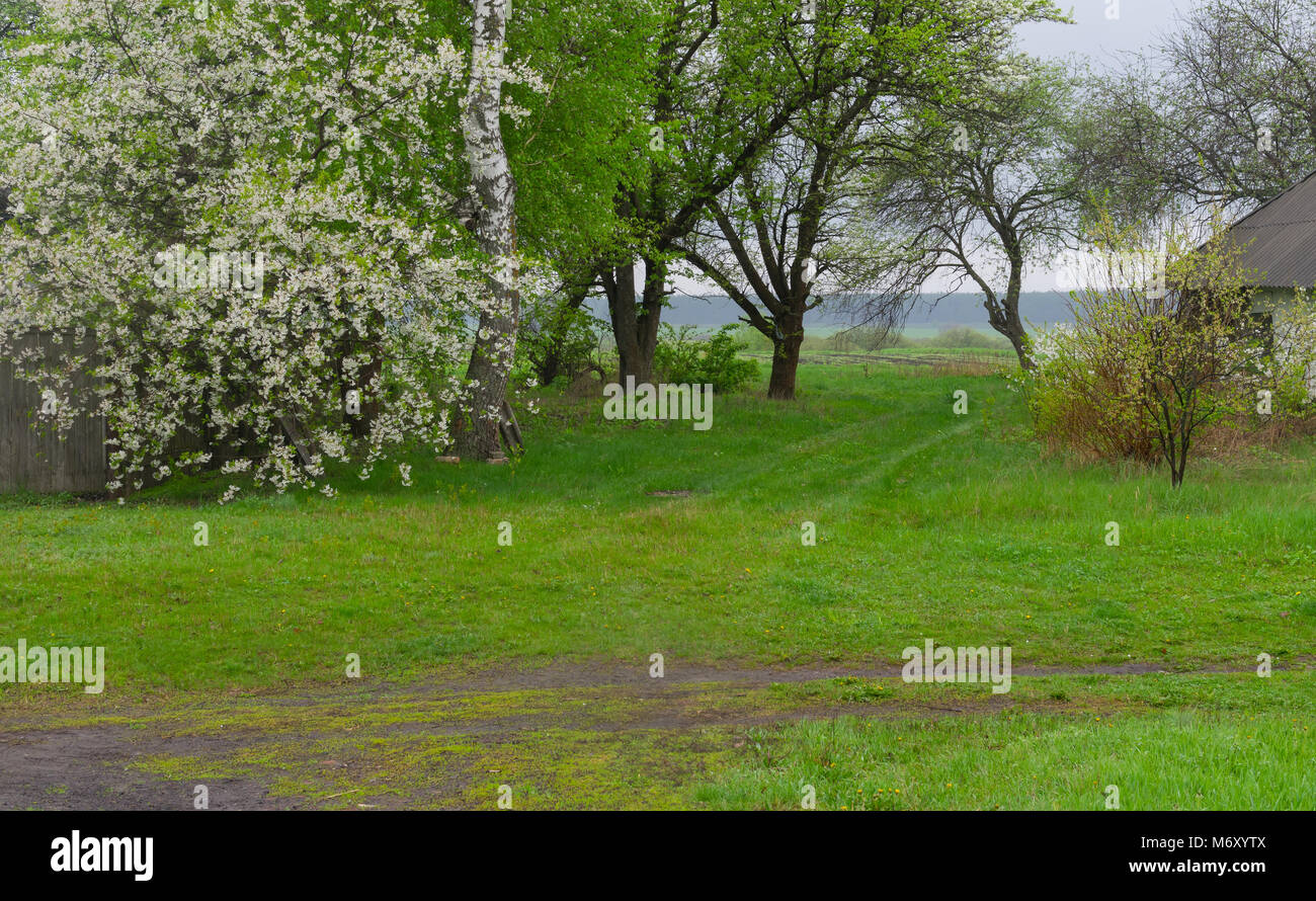 Ukrainian village in spring rural hi-res stock photography and images ...