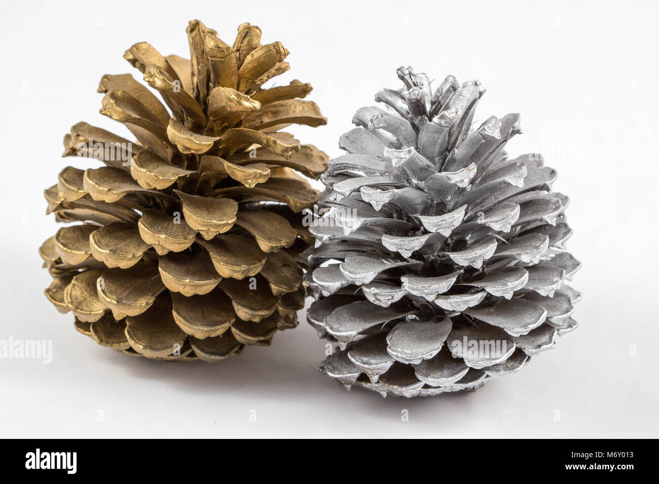 Two pine cones isolated on white background Stock Photo - Alamy
