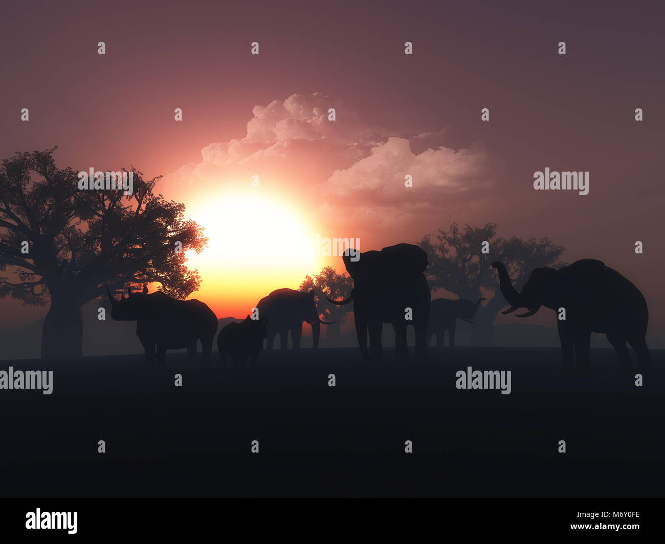 Animals in the sunset hi-res stock photography and images - Alamy