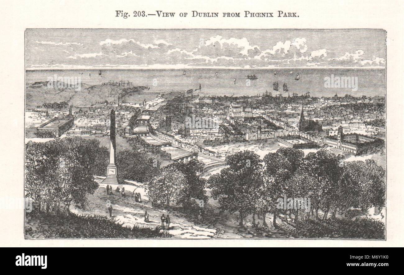 View of Dublin from Phoenix Park. Ireland 1885 old antique print ...