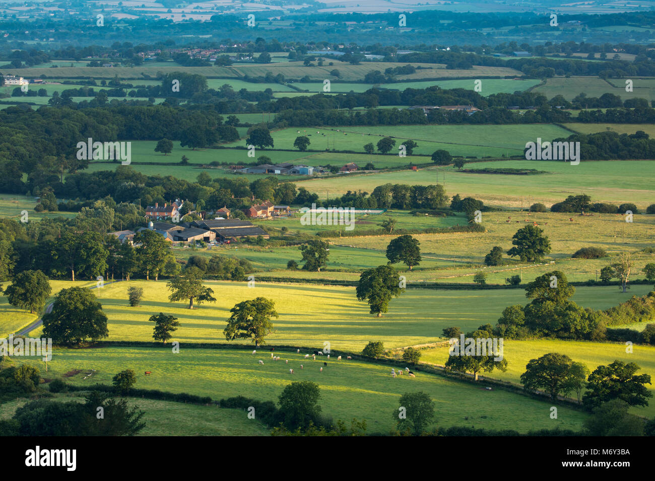Hazelbury bryan hi-res stock photography and images - Alamy