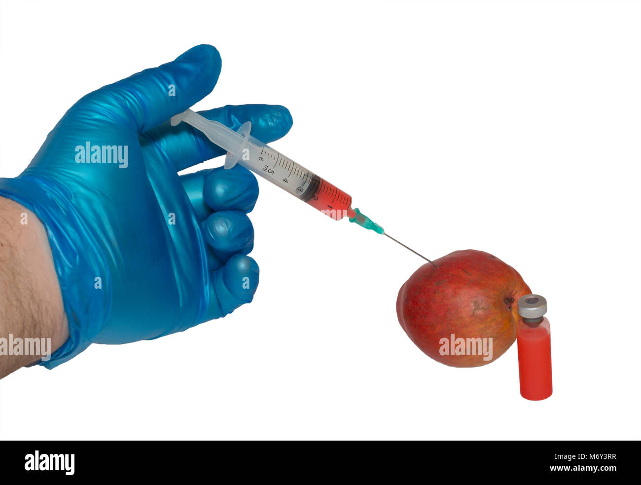 Fruits development genes Genetically Engineered Fruits and Vegetables ...