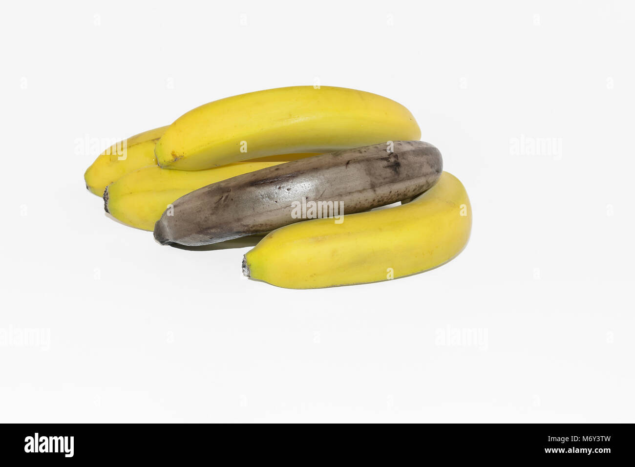 Old banana, good bananas isolated on white background Stock Photo - Alamy