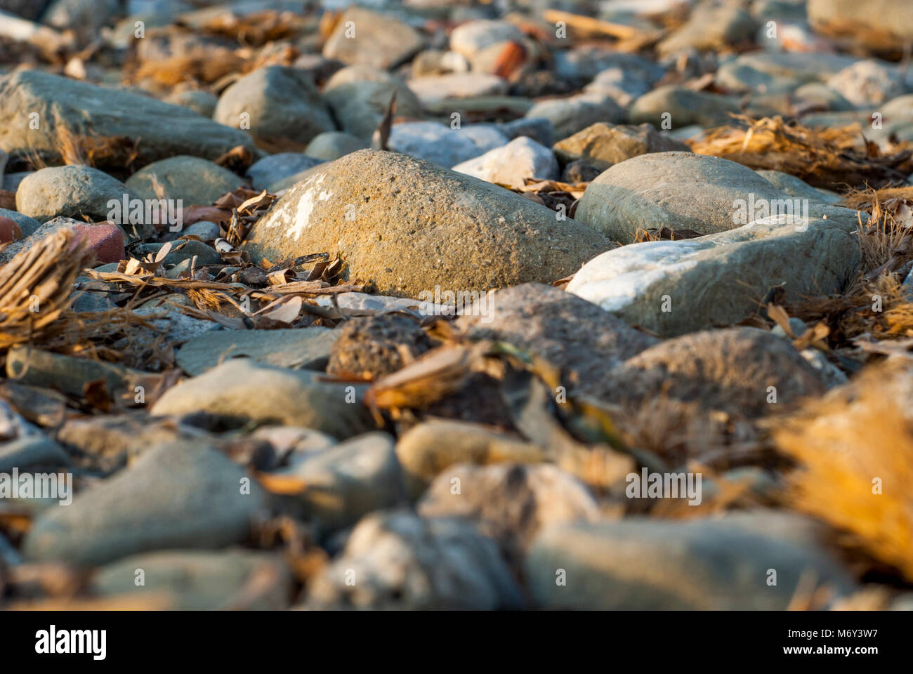 Stones of a beach smoothed by the sea Stock Photo - Alamy