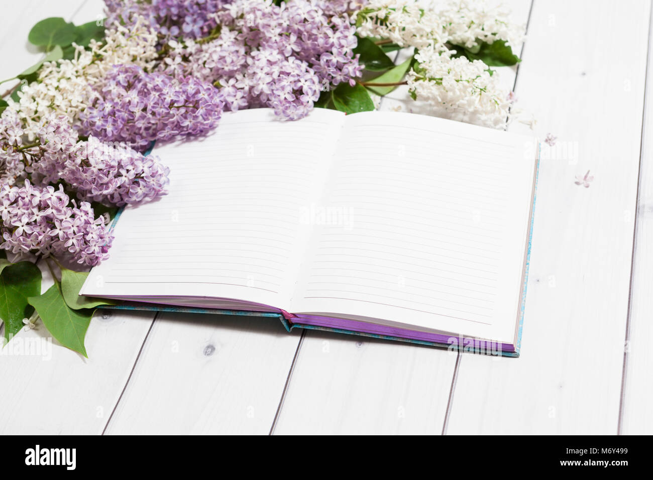 Mock up book hi-res stock photography and images - Alamy