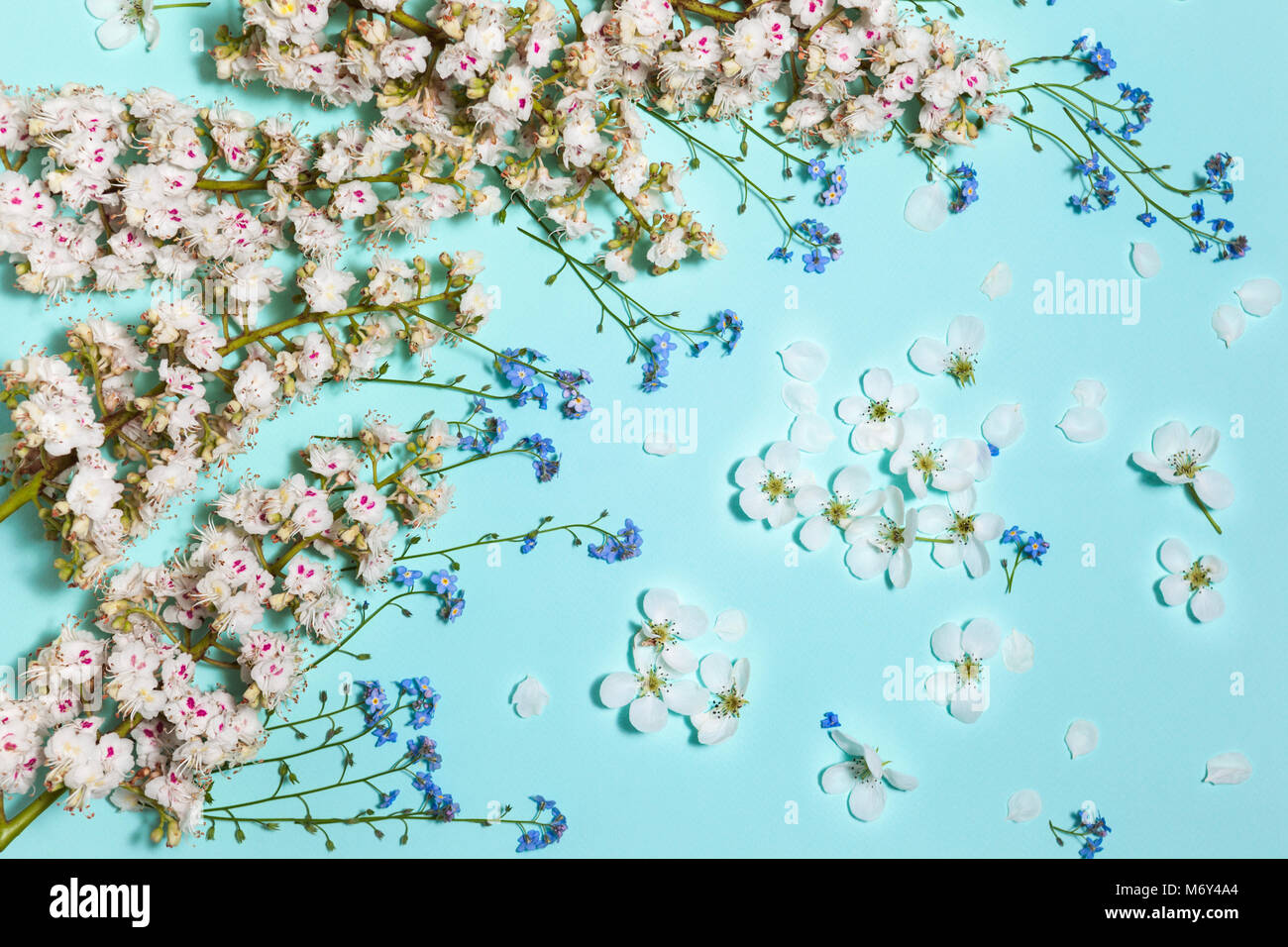 Mint horizontal background with spring flowers Stock Photo - Alamy