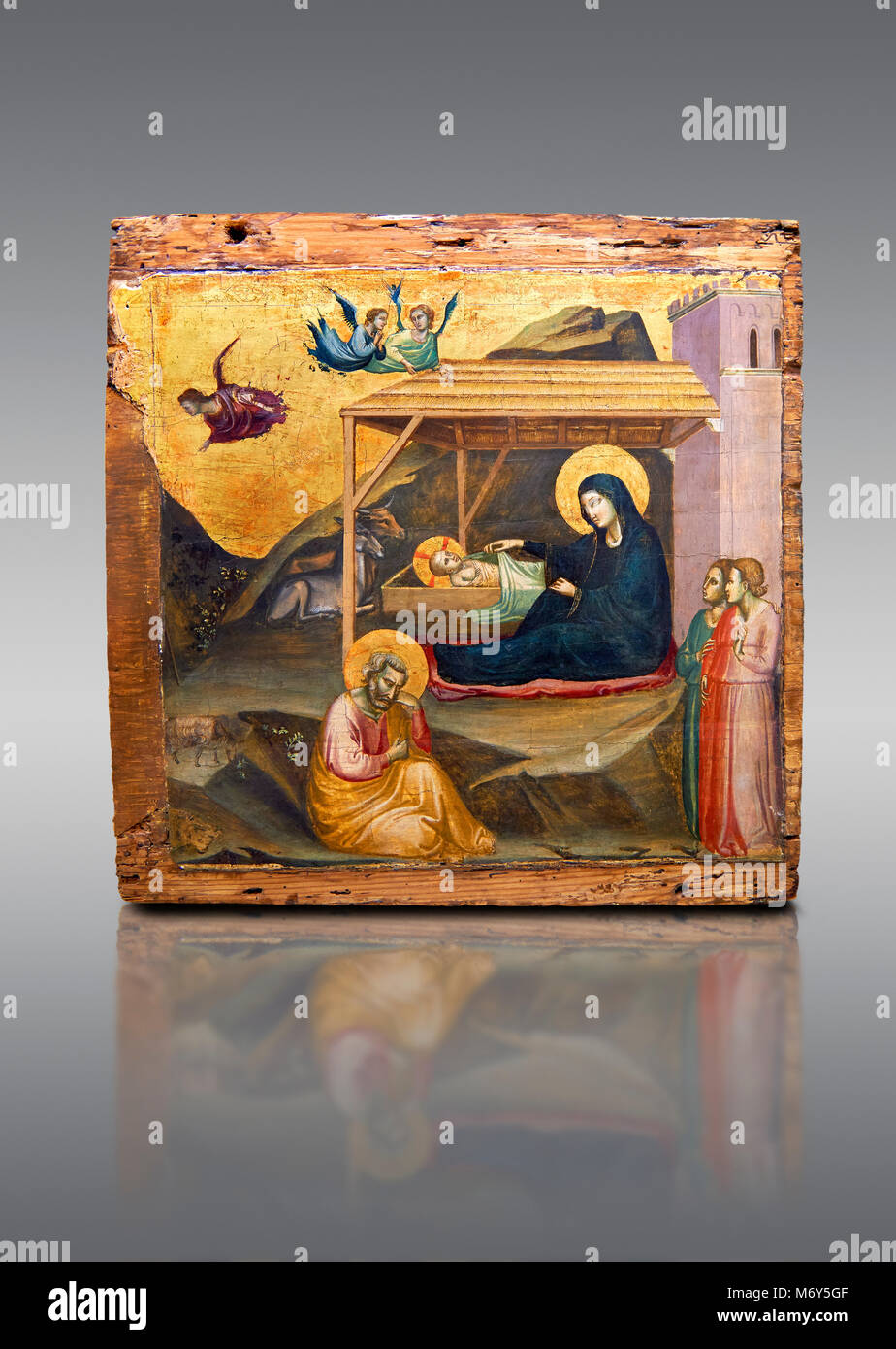 Gothic painted panel of the Nativity scene by Taddeo Gabbi of Florence ...