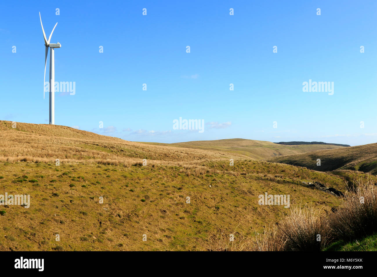 Y wal goch hi-res stock photography and images - Alamy
