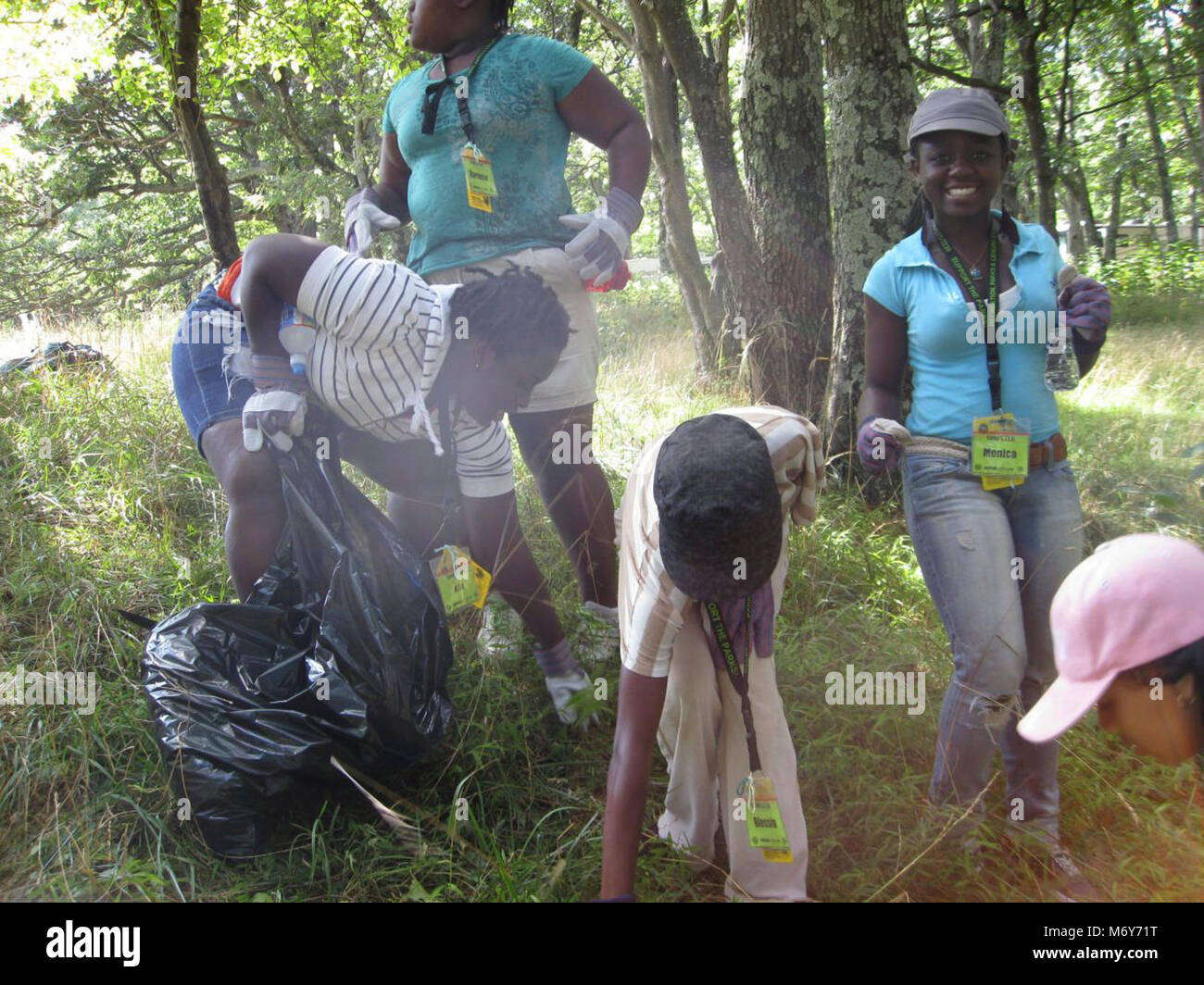 Always more invasive plants to pull! Stock Photo - Alamy