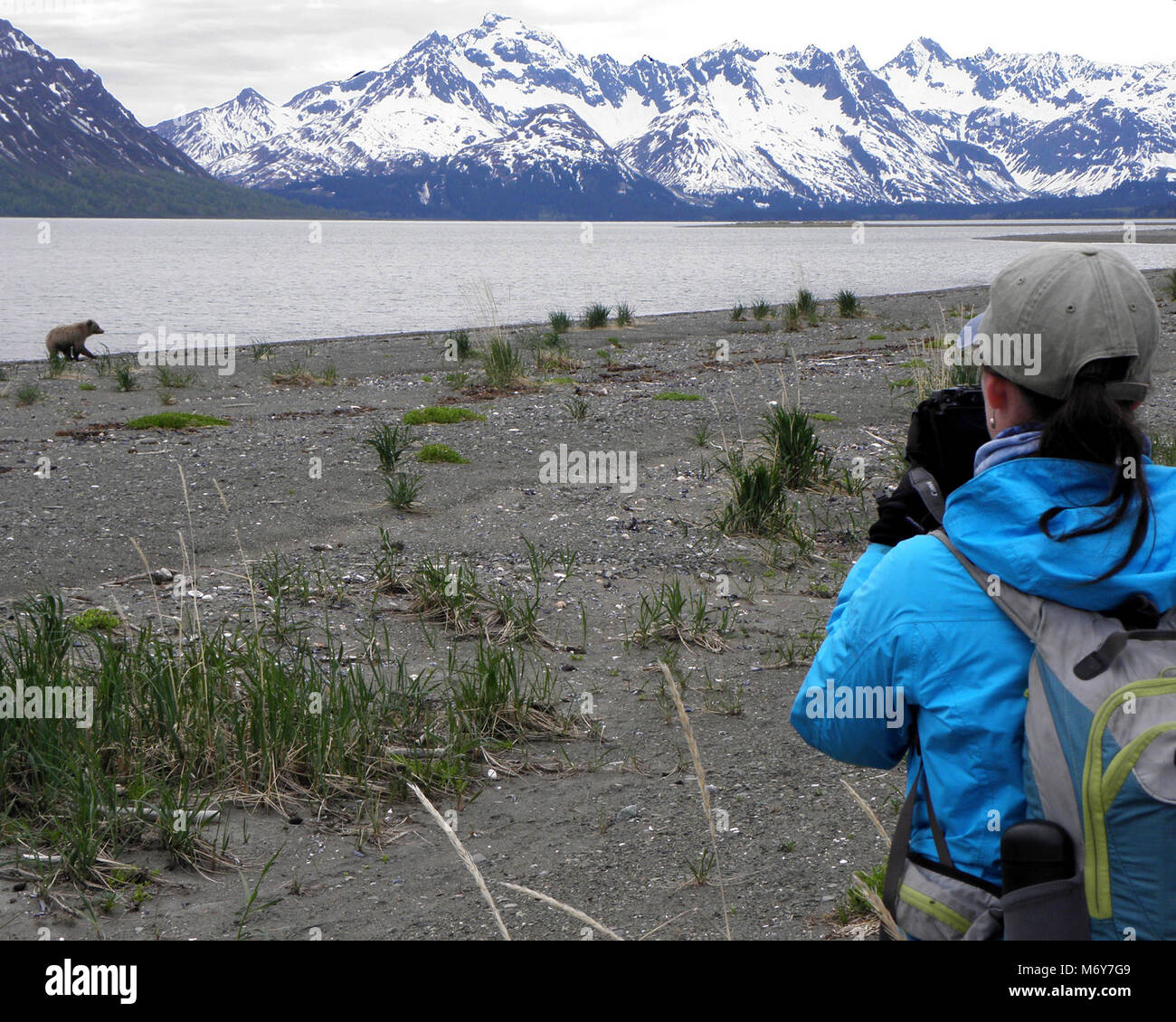 Beach at the Western Bear Viewing Area . From the western bear viewing ...