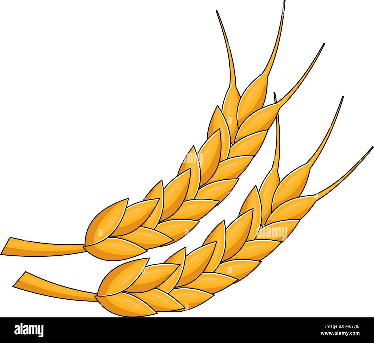 Ears of Wheat Vector Stock Vector Image & Art - Alamy