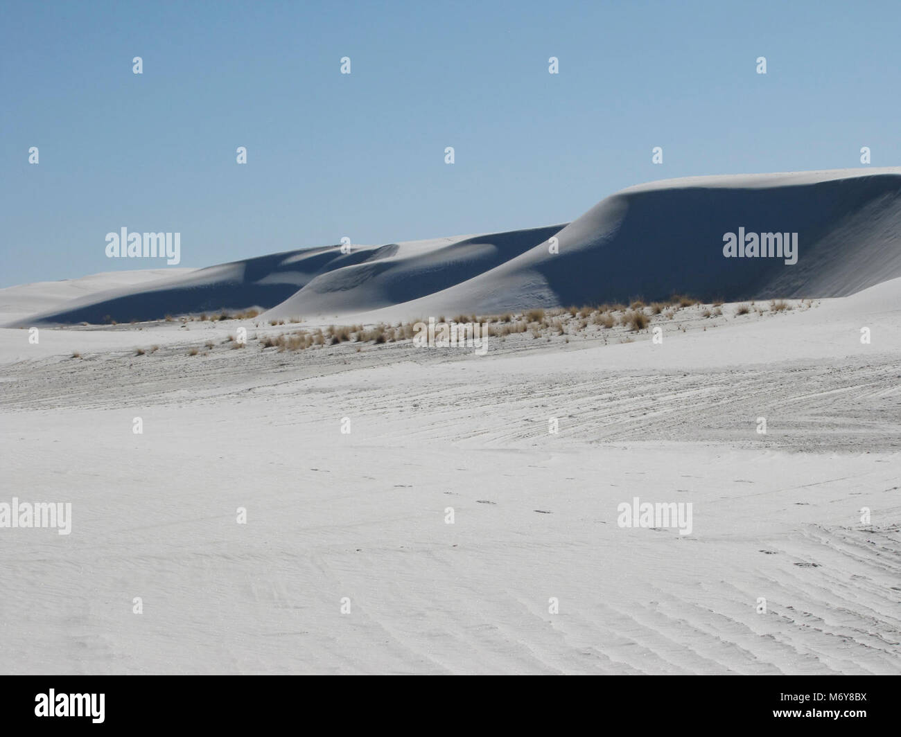 Dunes at the edge of an interdunal area Stock Photo - Alamy